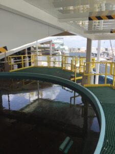 Fiberglass Handrail Systems | Safety Handrails | Structural Fiberglass ...